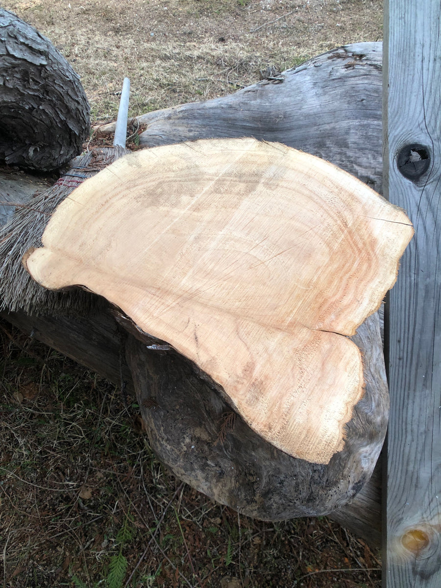 Cookie Slab - Live Edge – revelstoke-wood-co
