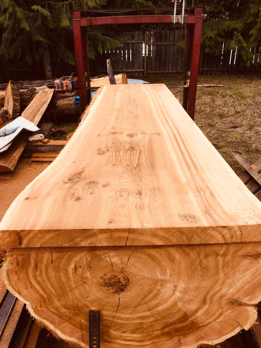 Cedar Slab 2 – revelstoke-wood-co